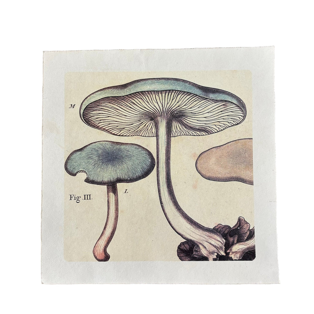 11"x11" Blue Shrooms - Flora & Fauna Collection – Sugarboo & Co Wholesale