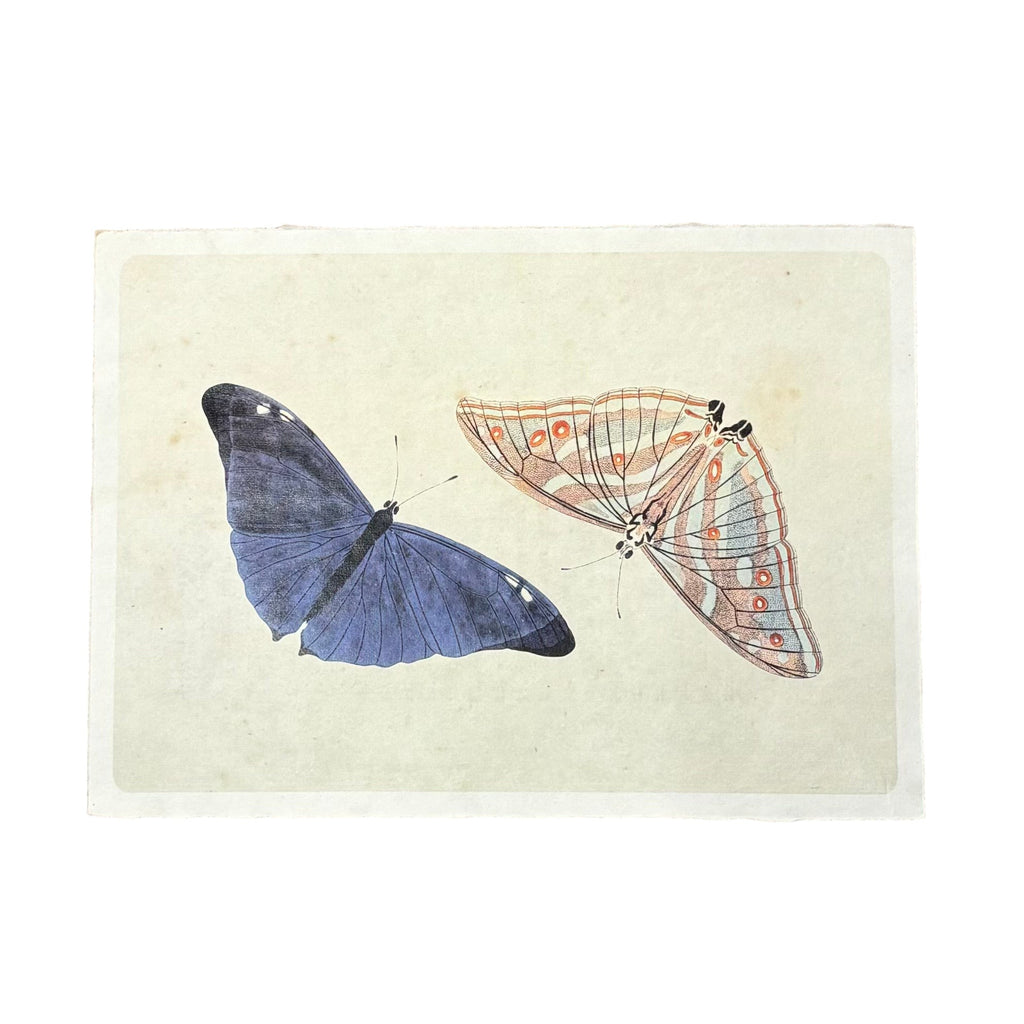 16"x12" Butterfly Duo - Flora & Fauna Collection – Sugarboo & Co Wholesale