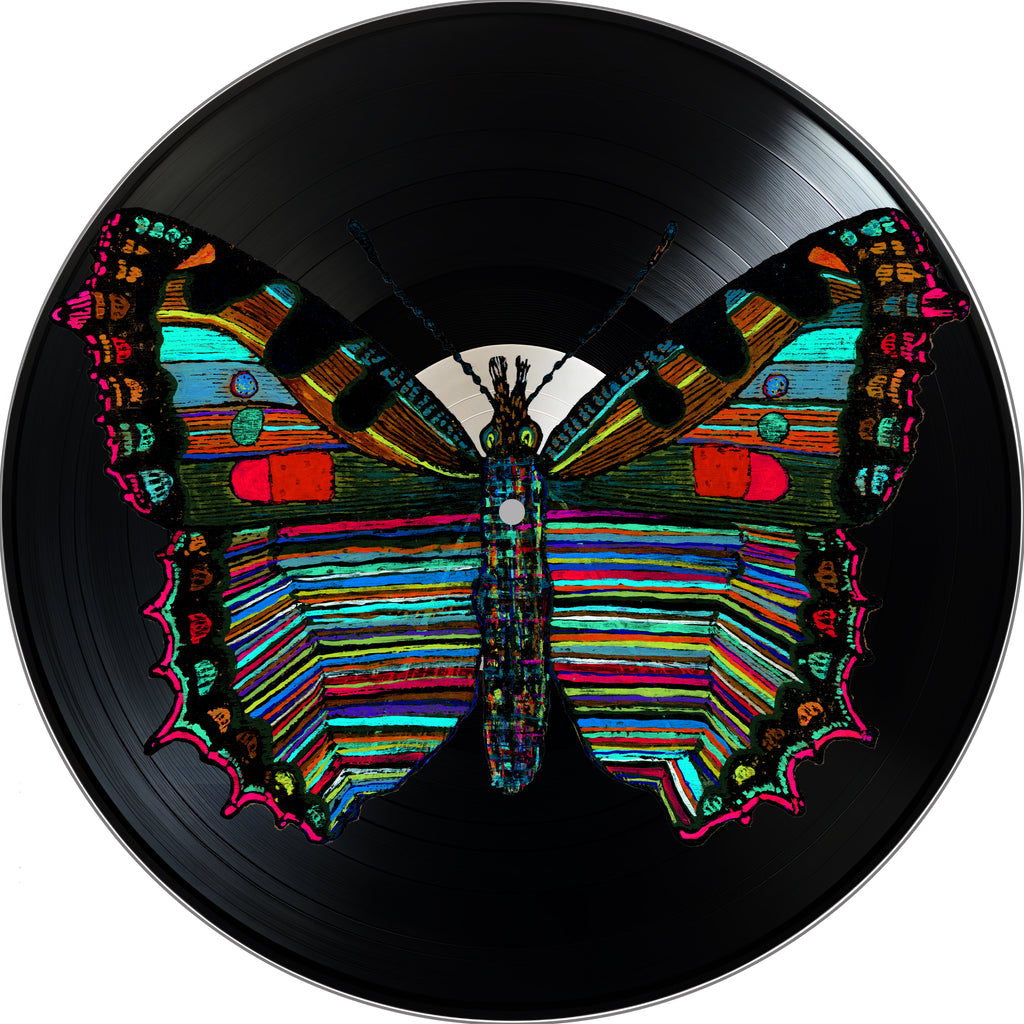 Butterfly Vinyl Record – Sugarboo & Co Wholesale