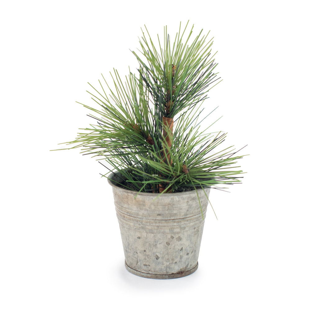 ***Mini Pine Tree In Tin Pot – Sugarboo & Co Wholesale